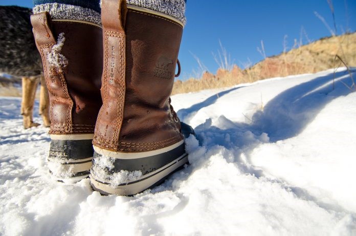 TPEE（聚醚酯彈性體）材料之特性與應用介紹 - SMARTMolding